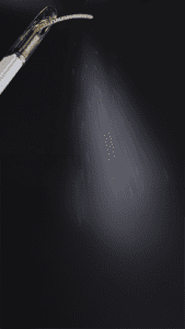 Francis Medical - Cancer Ablation by Water Vapor.